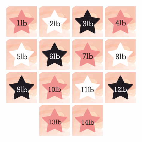 weight loss scratch chart